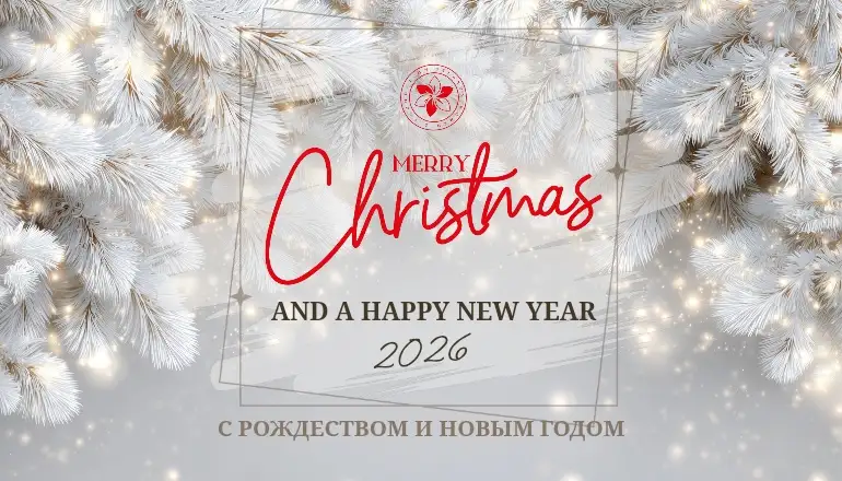 С Рождеством и Новым годом